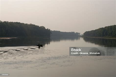 어 부는 배에 수영을 합니다 녹색 숲을 가로질러 흐르는 넓은 강 가 저녁 잔잔한 물에서 나무의 반사 일몰 강에 대한 스톡 사진 및 기타 이미지 Istock