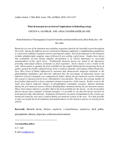 What Do Barnacle Larvae Feed On Implications In Biofouling Ecology