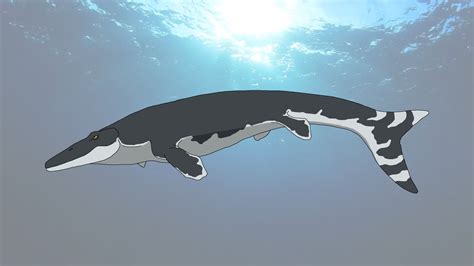 Tylosaurus By Shipputomas On Deviantart