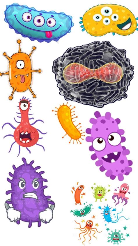 Small Pox Variola Virus Vector Illustration Illustration E Tattoo