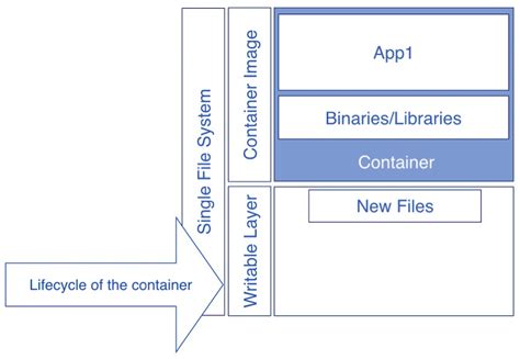 Venkataramu T On Linkedin Persisting Sql Server Data In Docker