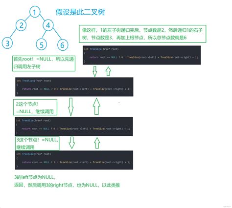 【数据结构与算法】二叉树的深度,节点数,第k层的节点数,遍历,二叉树叶节点的个数 阿里云开发者社区 【数据结构与算法】二叉树的深度,节点数,第k层的节点数,遍历,二叉树叶节点的个数 阿里云开发者社区