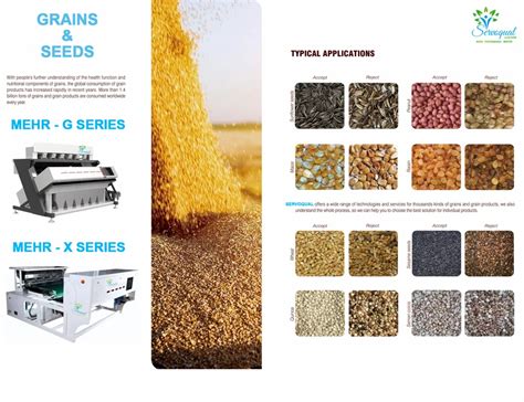 Pulses Sorting Machine At ₹ 1100000piece दालों की सॉर्टिंग मशीन In Patna Id 24000686497