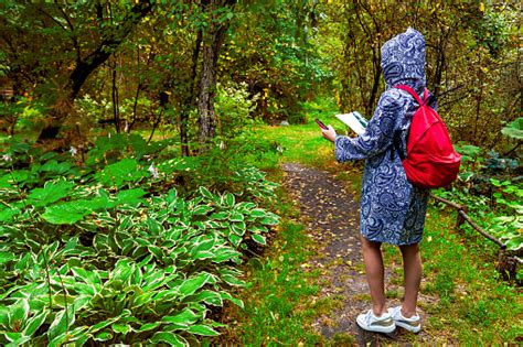 빨간 배낭이 달린 파란 비옷을 입은 어린 금발 소녀의 뒤에서 바라보는 그녀의 손에 든 전화가 길을 따라 걸으며 공원이나 숲의 지도를 바라보고 있다 야생 여행 걷기에 대한