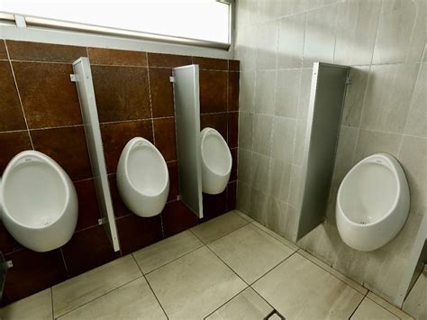 Reduce Uaeméx Consumo De 85 Mil Litros Diarios De Agua Tras Colocación De Mingitorios Secos