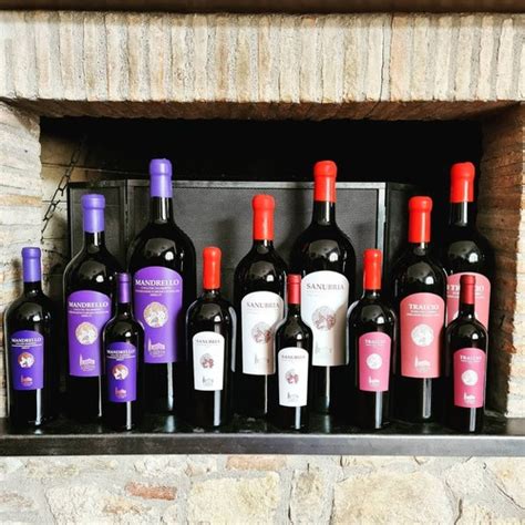 Begreentelligent Casali Del Toppello Adotta Presso Questa Azienda