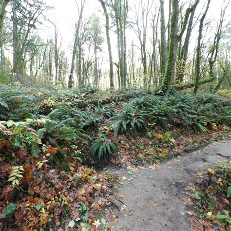 Wildwood Segment 5 In Portland Or Terrain360