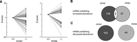 Eif2alpha Kinases Gcn2 And Perk Modulate Transcription And Translation