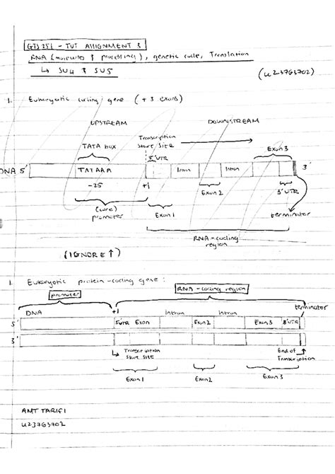 GTS TUT Tutorial Exam Type Questions GTS Studocu