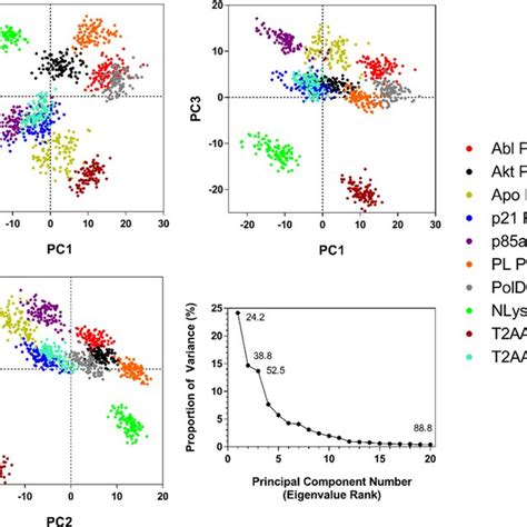 Pca Of Pcna Topology Variance The Final 100 Frames Of Each Pcna−ligand