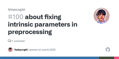 About Fixing Intrinsic Parameters In Preprocessing · Issue 100