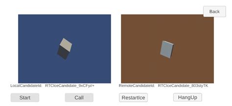 Bug The Received Video Displays The Inverted Color When Using Vulkan