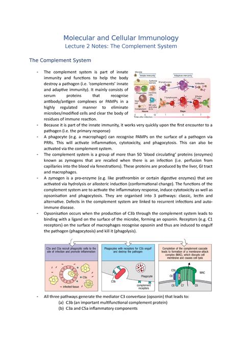 Lecture 2 Notes The Complement System Molecular And Cellular Immunology Lecture 2 Notes The