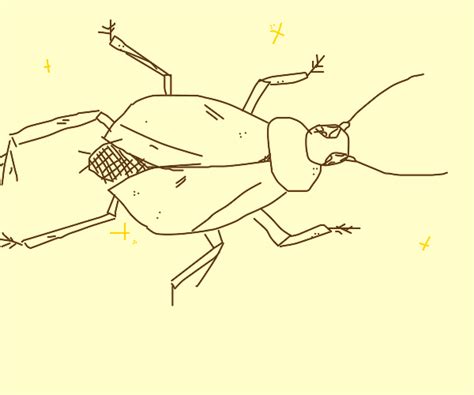 Cockroach Drawception Cockroach Drawception