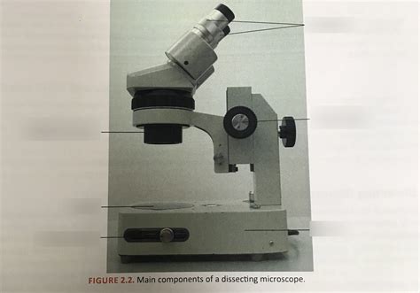 Main Components Of A Dissecting Microscope Diagram Quizlet