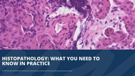 Histopathology What You Need To Know In Practice Veterinary Pathology Group
