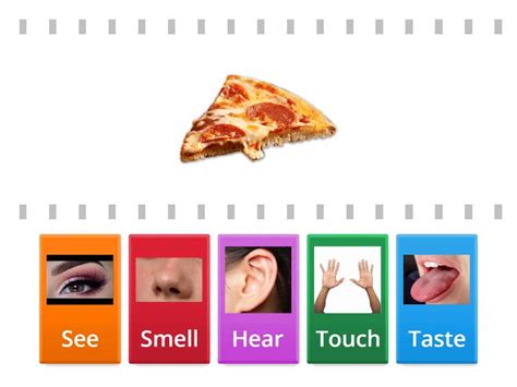 Jr5 U 4 Senses Find The Match