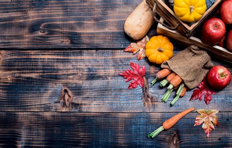 추수 감사절 배경 과일과 가을 수확 시즌에 나무에 야채 텍스트의 공간을 복사합니다 11월에 대한 스톡 사진 및 기타 이미지 11월 Blessing 가을 Istock