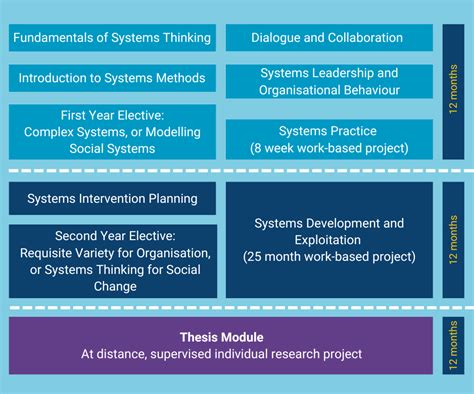 Systems Thinking Practice Msc