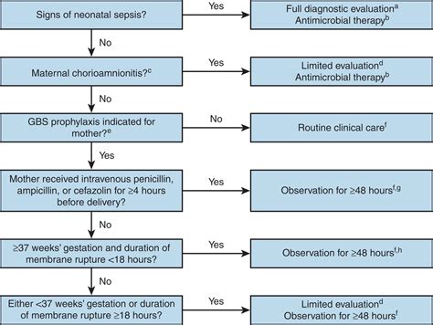 Transmission Of Infectious Diseases Through Breast Milk And