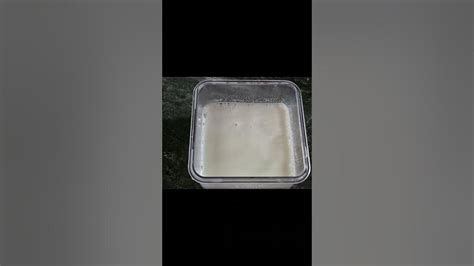 집에서 쉽게 연유 만드는 법 Youtube