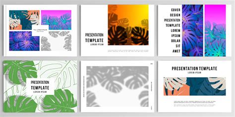 브로셔 커버 디자인 전단지 책 디자인 잡지 포스터에 대한 프리젠 테이션 디자인 템플릿의 벡터 레이아웃 열대 야자수 잎 열대 정글 잎의 그림자 꽃 무늬 배경 Slide