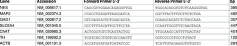 Rt Pcr Primer Sequences Download Table