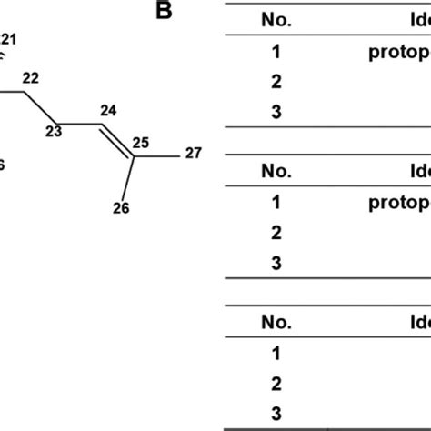 A The Core Structure Of Ginsenosides B Ginsenoside Structure With