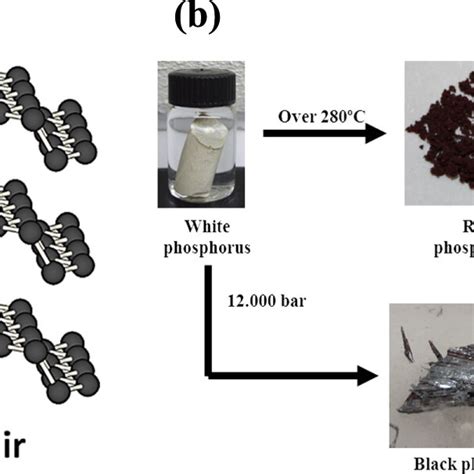 A Crystal Structure Of Phosphorene B Allotropes Of Phosphorus