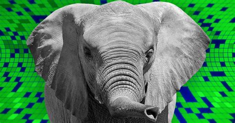 Building Iot Apps Using Postgres Citus And Azure Microsoft