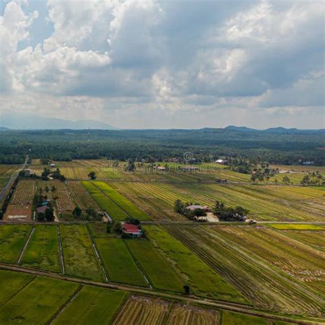 Tierra Agrícola Ubicada En Sungai Rambai Melaka Malaysia Imagen De Archivo Editorial Imagen