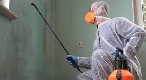 Five Reasons Why You Should Hire A Licensed Asbestos Removal Expert