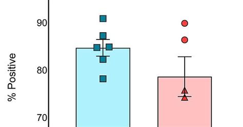 Example Bar Graph With Data Points And Error Bars Album On Imgur
