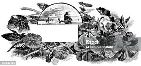 단풍과 꽃에 의해 포위 하는 원 안에 물에 보트의 19 세기 이미지 빅토리아 꽃 책 페이지 헤더 장식 빈 텍스트 상자 1893 0명에 대한 스톡 벡터 아트 및 기타 이미지