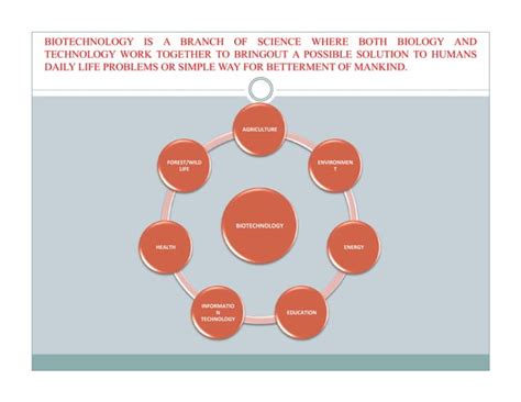 Career Scope In Biotech Ppt