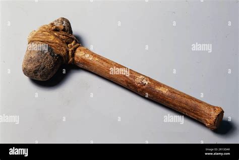 Pico minero procedente de las minas prehistóricas de Gavá Can Tintorer Museu d Història de