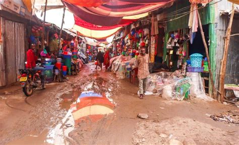 Whether Or Not Kenya Closes Its Camps Much Damage Has Been Done