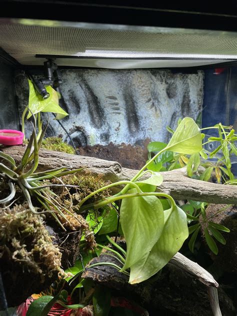 Plant Questions R Bioactive