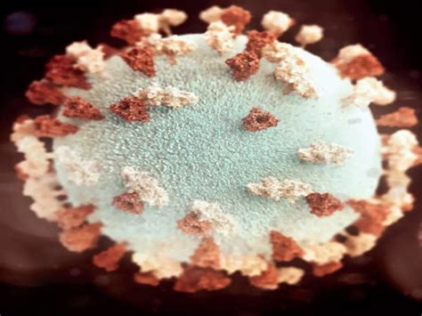 Mumps Surge Keep Your Little Ones Safe