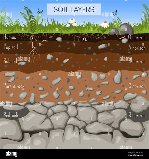 Layers Of Soil Topsoil Subsoil Bedrock