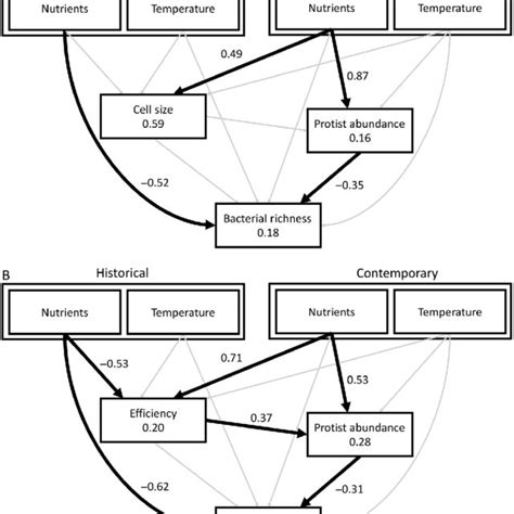 Structural Equation Models Showing The Causal Effects Of Treatments As Download Scientific