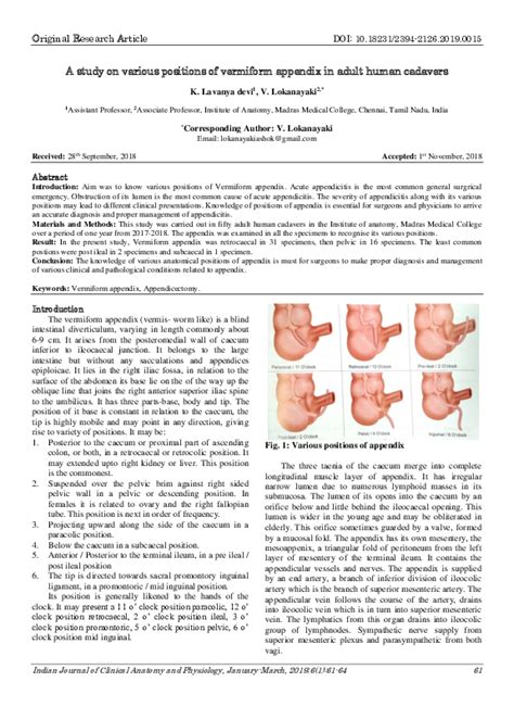 Pdf A Study On Various Positions Of Vermiform Appendix In Adult Human