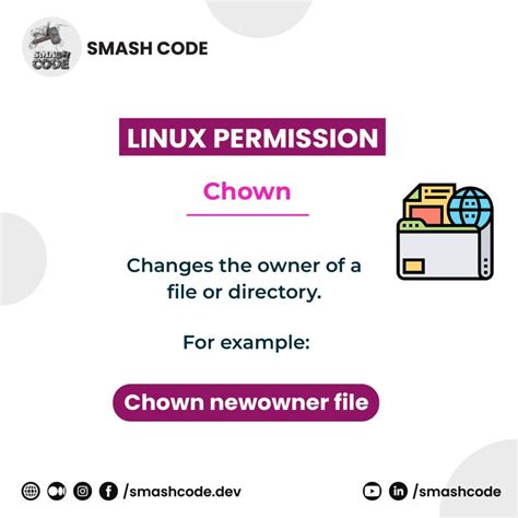 Smash Code Software House On Linkedin Smashcode Smashcodedev