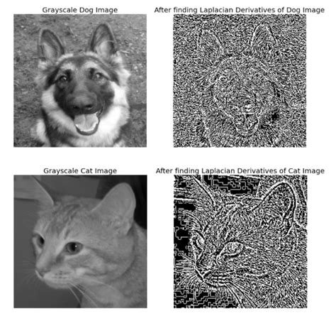 Computer Vision Using Opencv Analytics Vidhya