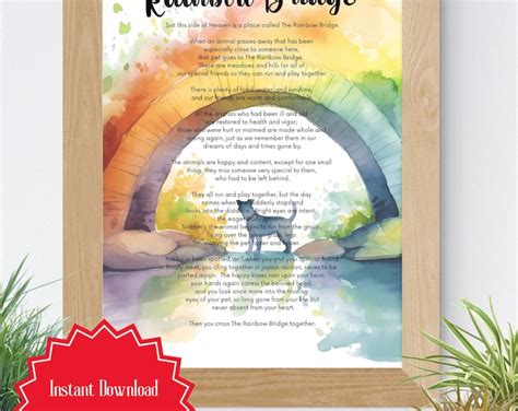 Custom Rainbow Bridge Paw Print Heart Ornament Rainbow Bridge Pet