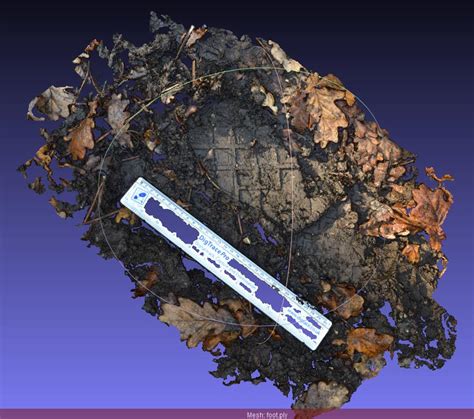 javascript three js ply colorless all black stack overflow