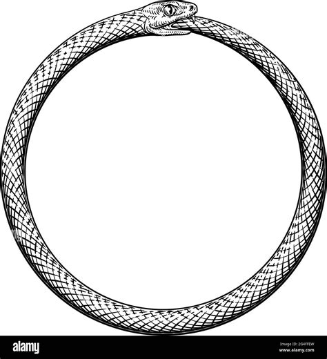 Ouroboros Symbolism And Meaning Artofit