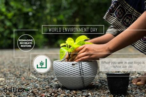 Eldhose Alias On Linkedin Dalusco Environmental Inc