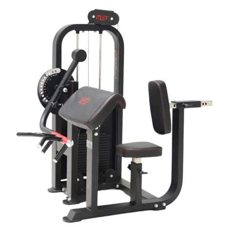 Bicep Tricep Curl Alpha — Msffit