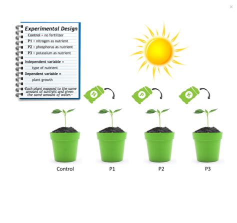 Bio 105 Midterm Flashcards Quizlet Bio 105 Midterm Flashcards Quizlet